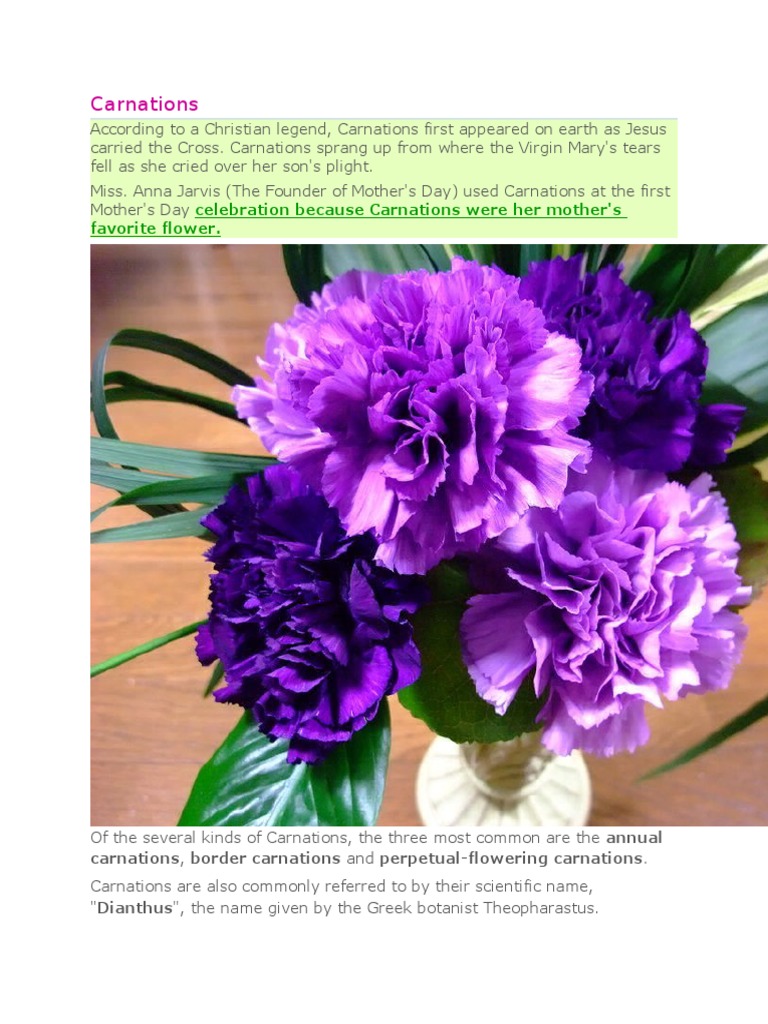 Carnations: Celebration Because Carnations Were Her Mother's Favorite ...