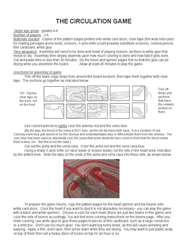 Circulation Game | PDF | Capillary | Blood