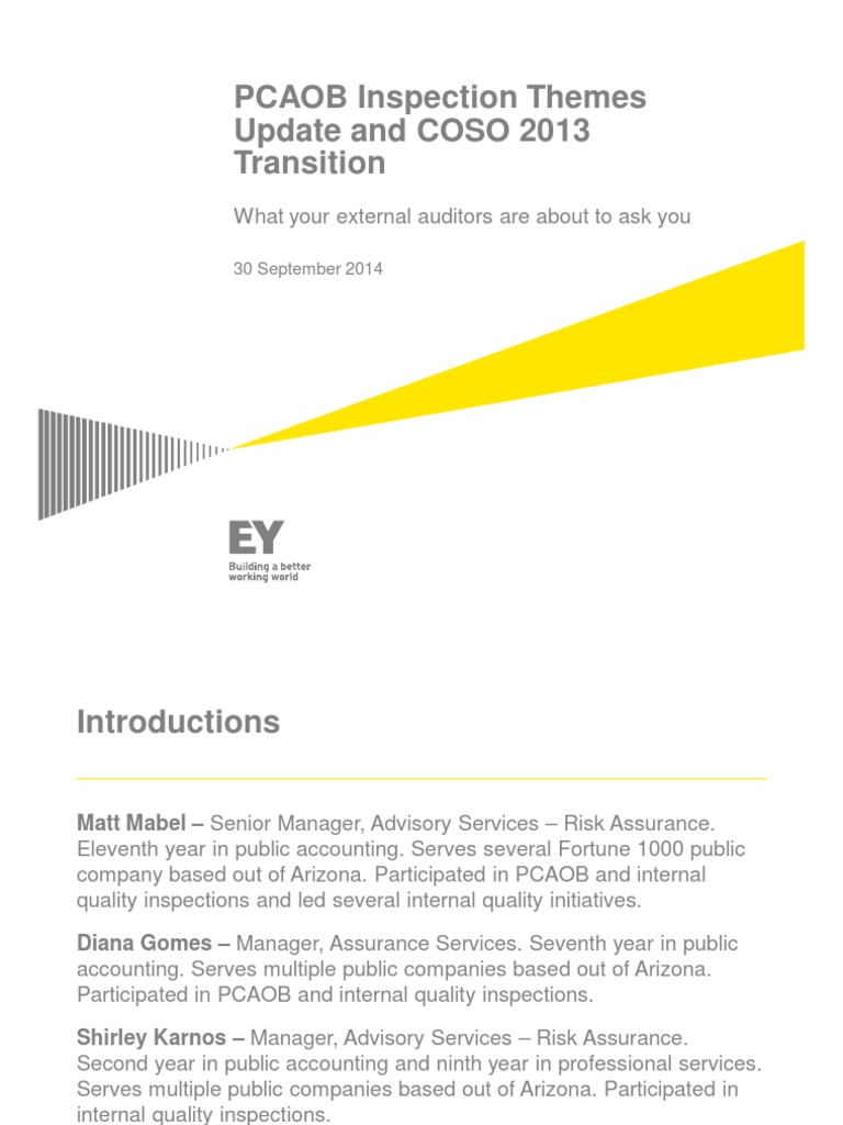 PCAOB Inspections Themes | PDF | Audit | Computing