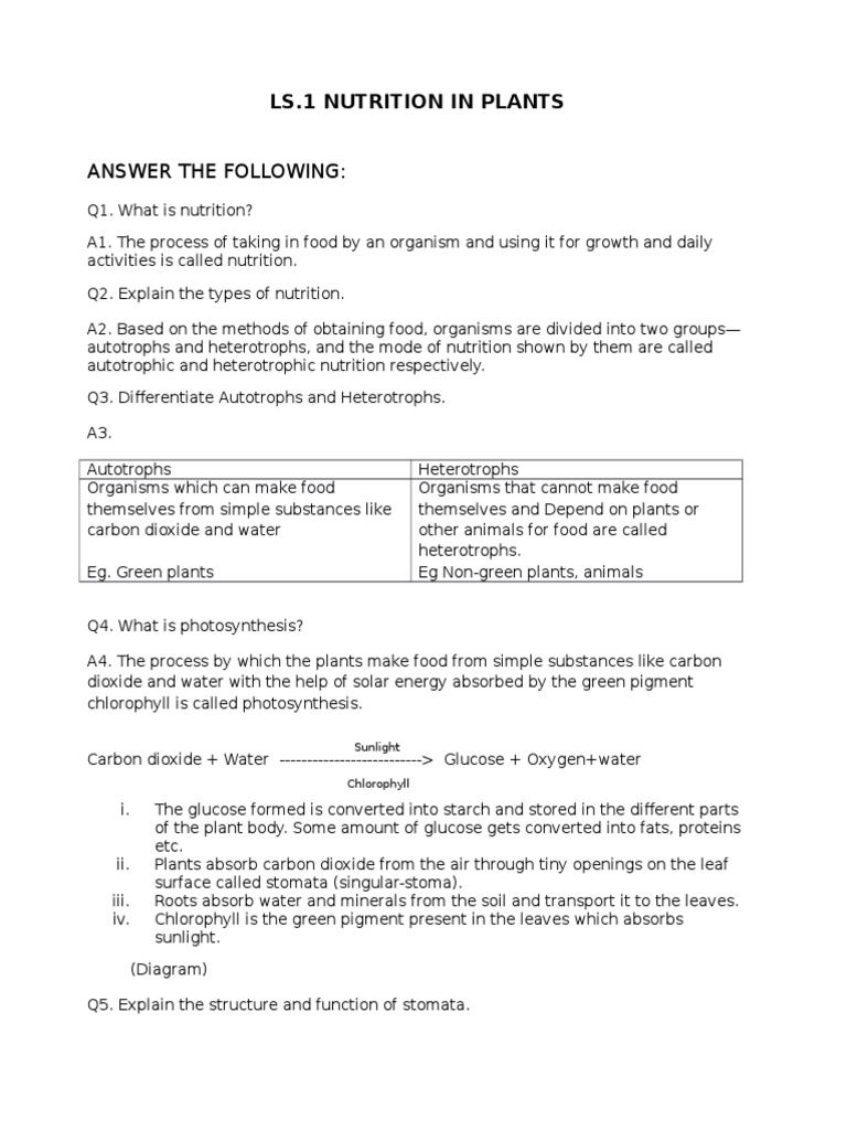 Answer The Following:: Ls.1 Nutrition in Plants | PDF | Plants | Stoma