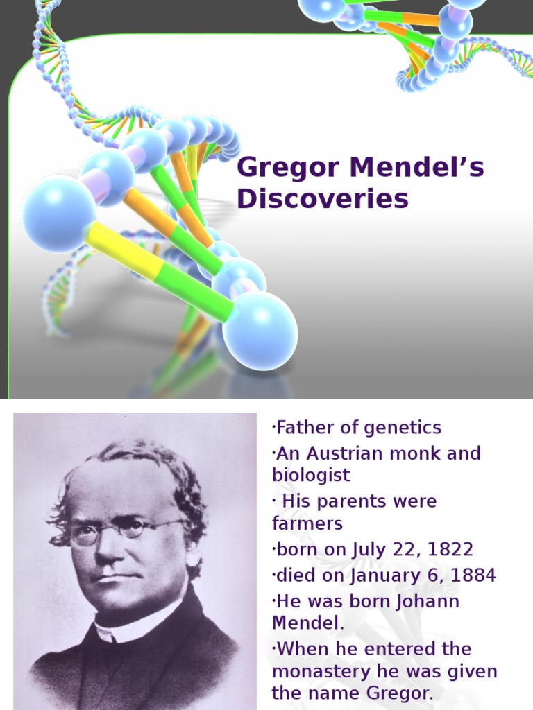 Gregor Mendel's Discoveries and Mendelian Principles | PDF | Dominance ...