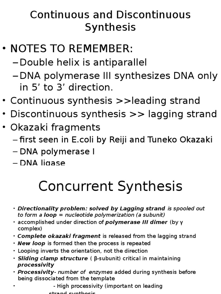 DNA Replication: Continuous vs Discontinuous | PDF