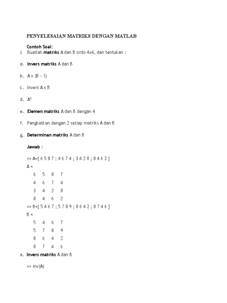 Penyelesaian Matriks Dengan Matlab | PDF | Komputer