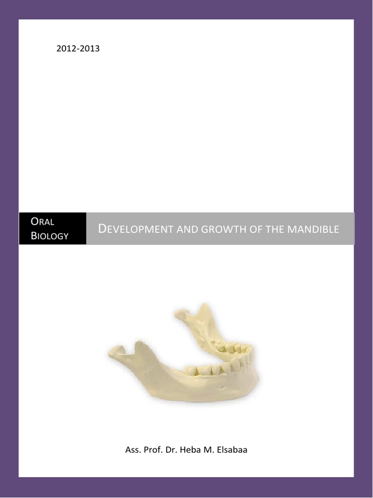 Development of The Mandible | PDF | Human Head And Neck ...