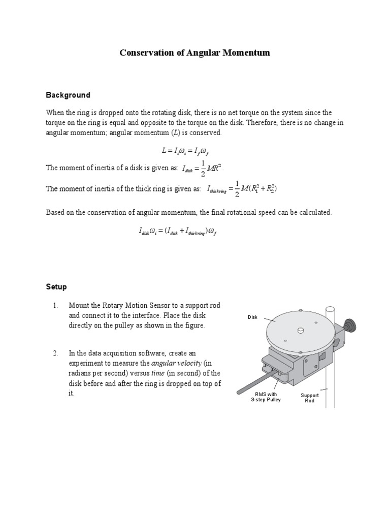 Angular Momentum Conservation | Rotation Around A Fixed Axis | Angular Momentum