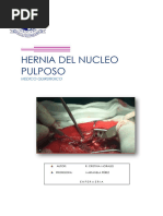 Guía de Sutura Colchonero Horizontal | PDF | Cirugía | Especialidades ...