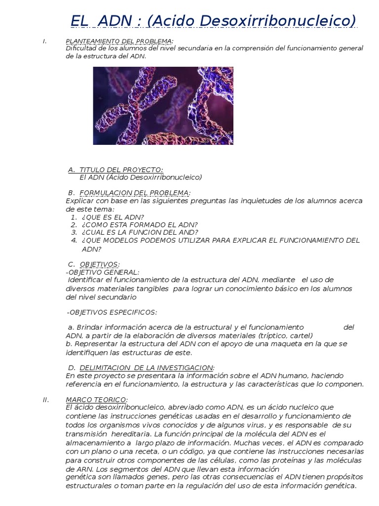 El Adn | Descargar gratis PDF | Adn | Rna