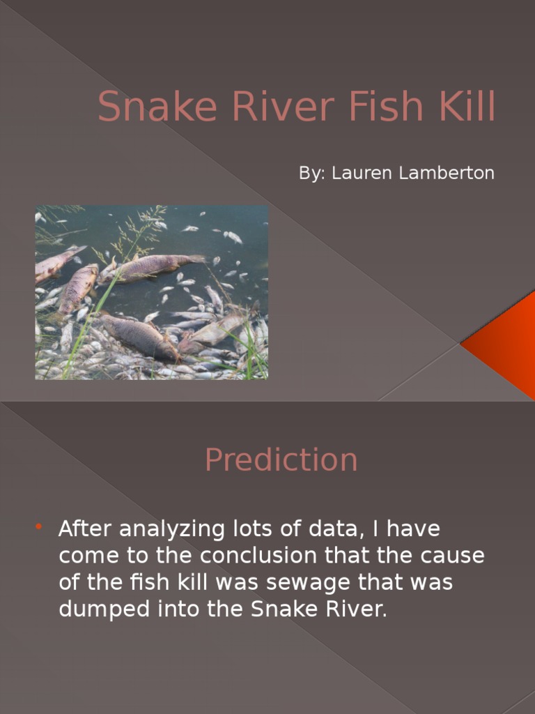 Snake River Fish Kill | PDF | Social Science | Foreign Language Studies