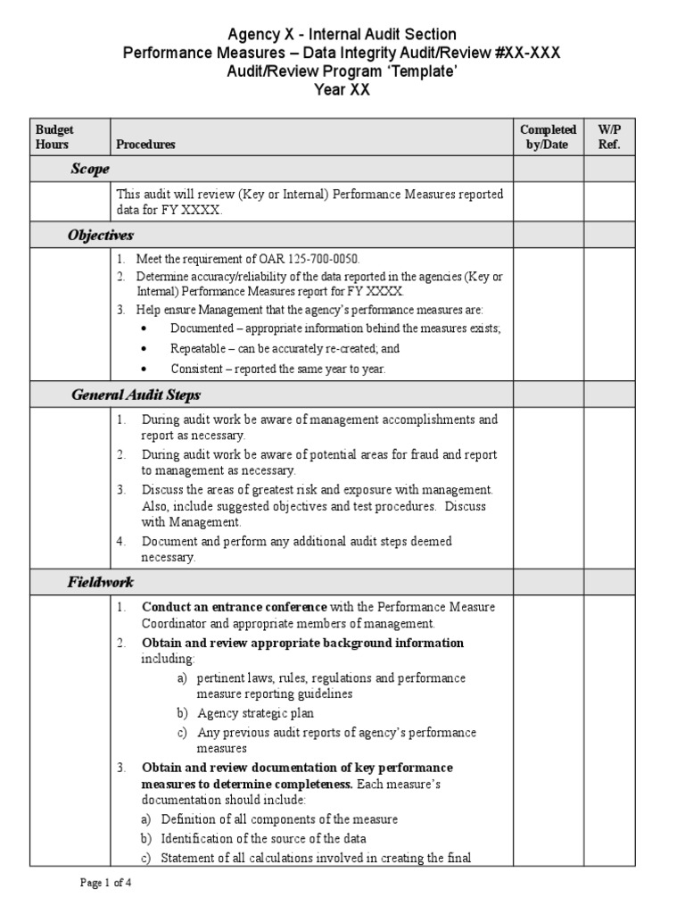 Data Integrity Template | PDF | Accuracy And Precision | Audit