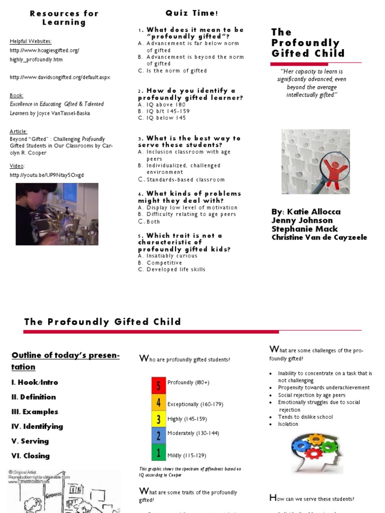 Profoundly Gifted Child Guide | PDF