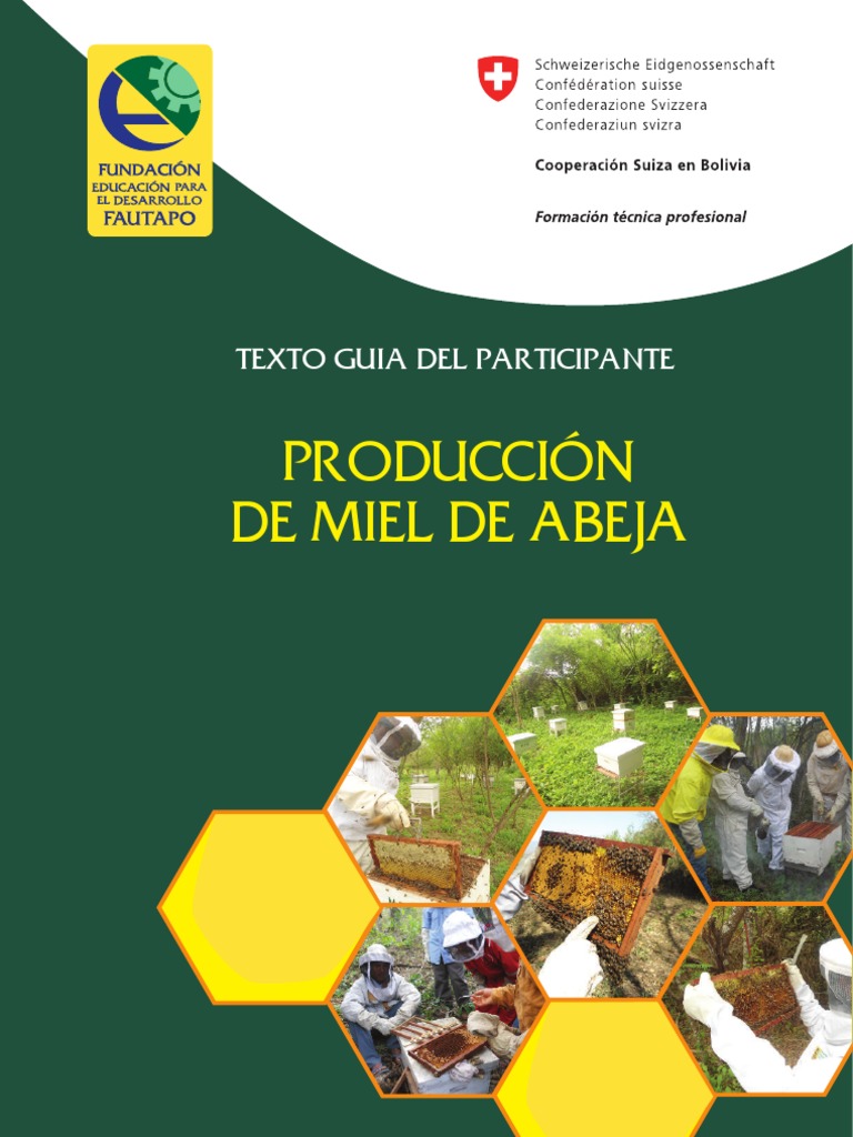Guia De Produccion De Miel De Abeja Pdf Pdf Colmena Apicultura
