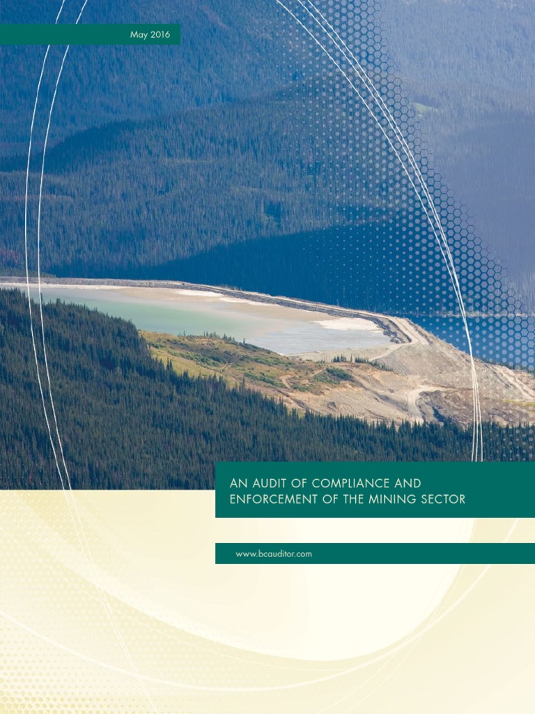 Audit of Mining Sector | PDF | Regulatory Compliance | Audit