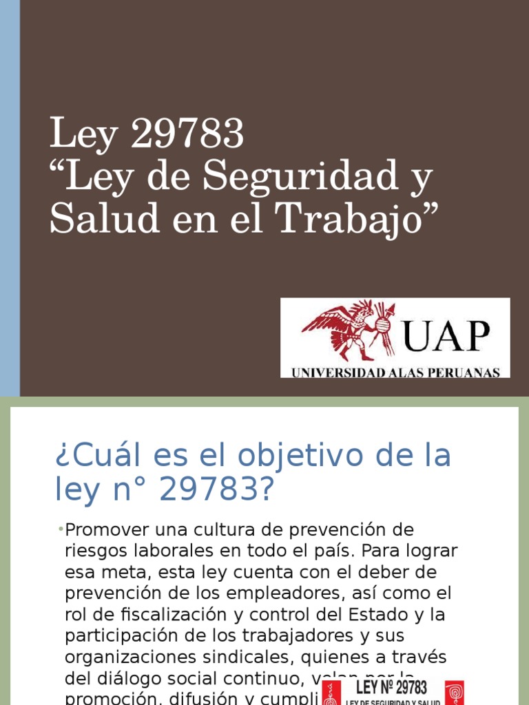 Ley 29783 | PDF | Derecho laboral | La seguridad