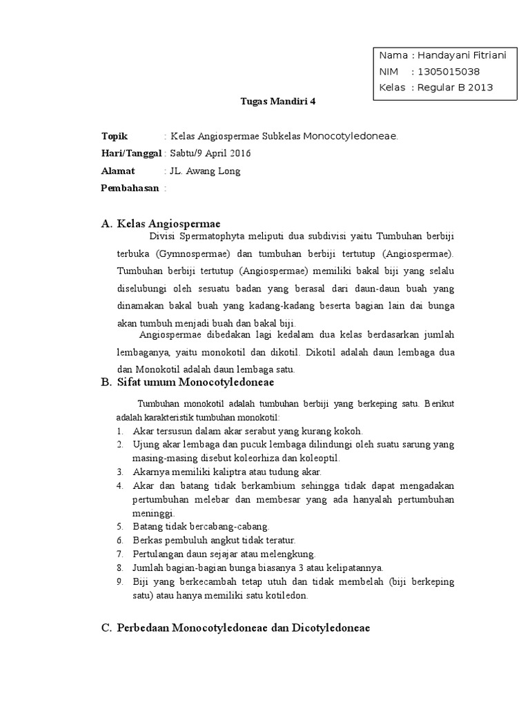 37+ Contoh Bunga Rozet yang Lagi Ngetrend - Informasi Seputar Tanaman Hias