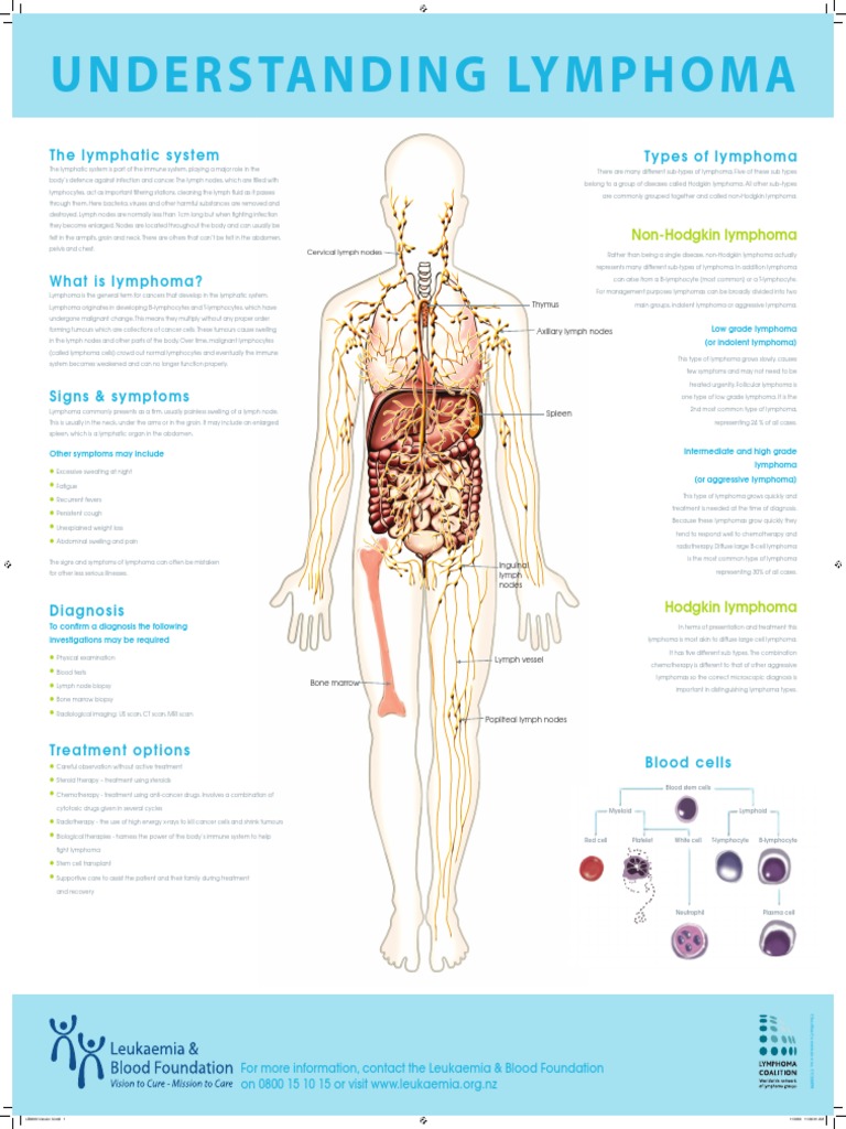 Understanding Lymphoma: The Lymphatic System Types of Lymphoma | PDF ...
