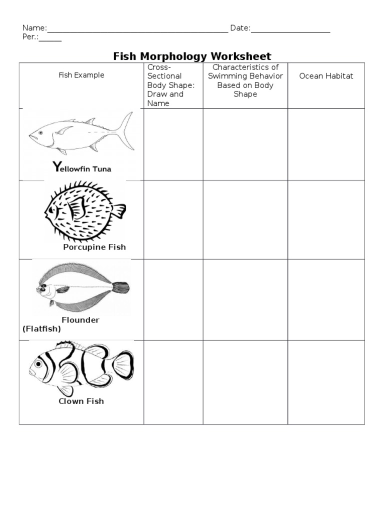 Fish Morphology Worksheet: Name: - Date: - Per. | PDF