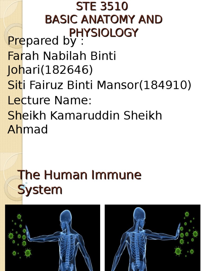 11.the Human Immune System | PDF | Mucus | Immune System