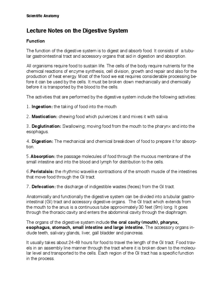 DIGESTIVE Lecture Notes PDF | PDF | Gastrointestinal Tract | Stomach