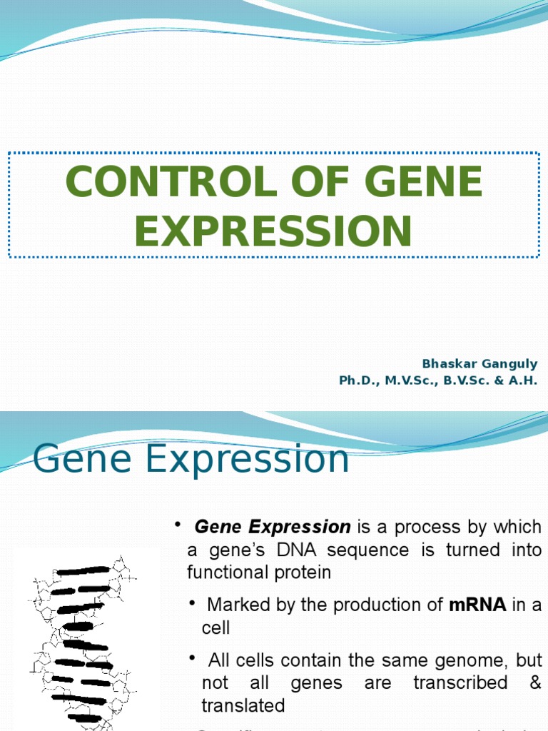 Control of Gene Expression | PDF | Operon | Regulation Of Gene Expression