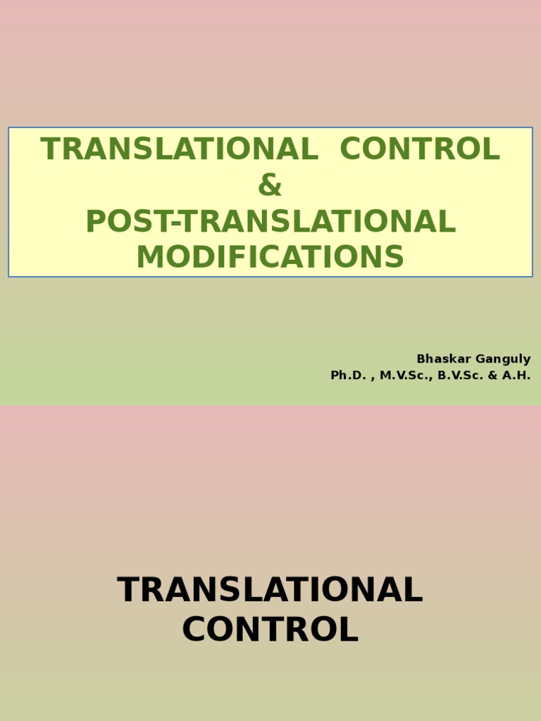 Translational Control & Post-Translational Modifications | PDF ...