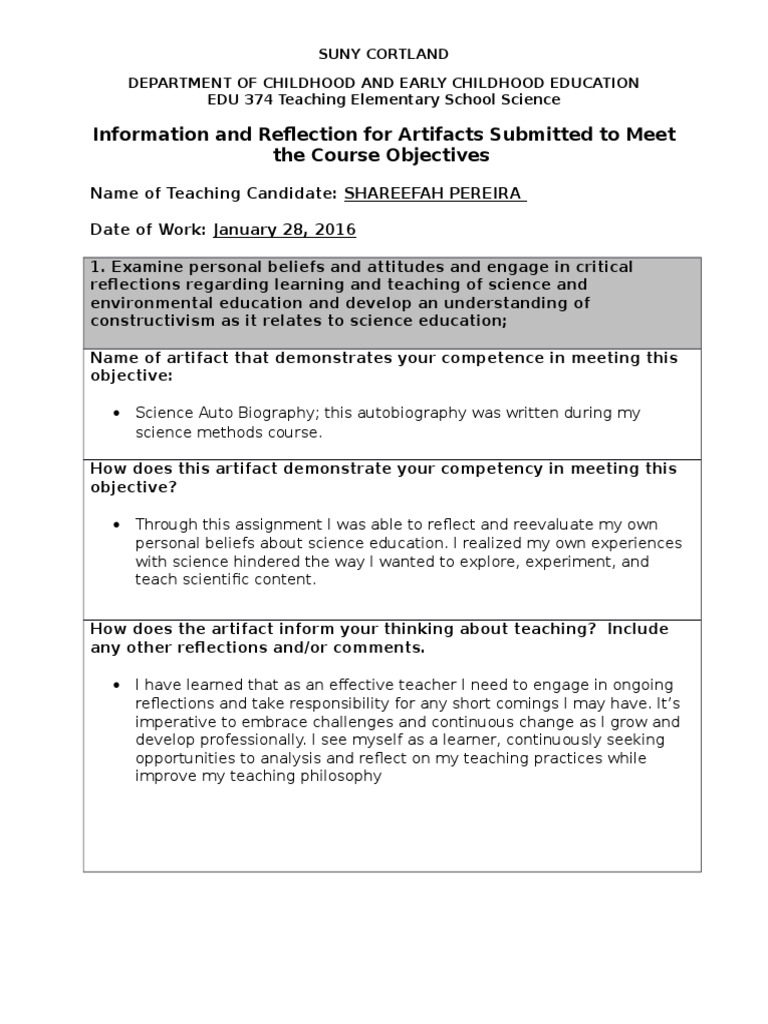 Artifact Reflection Course Objective 1 | PDF