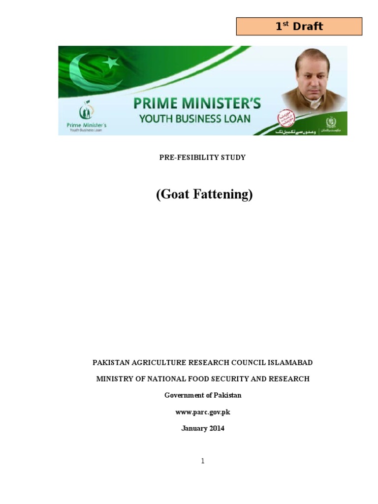 7-Goat Fattening Feasibility Revised 17 Feb | PDF | Internal Rate Of ...