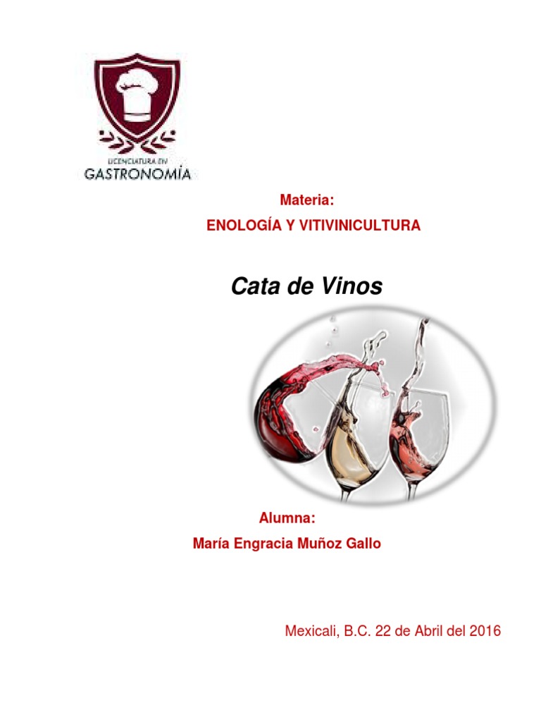 Fichas de Cata para Internet | PDF | Vino | Gusto