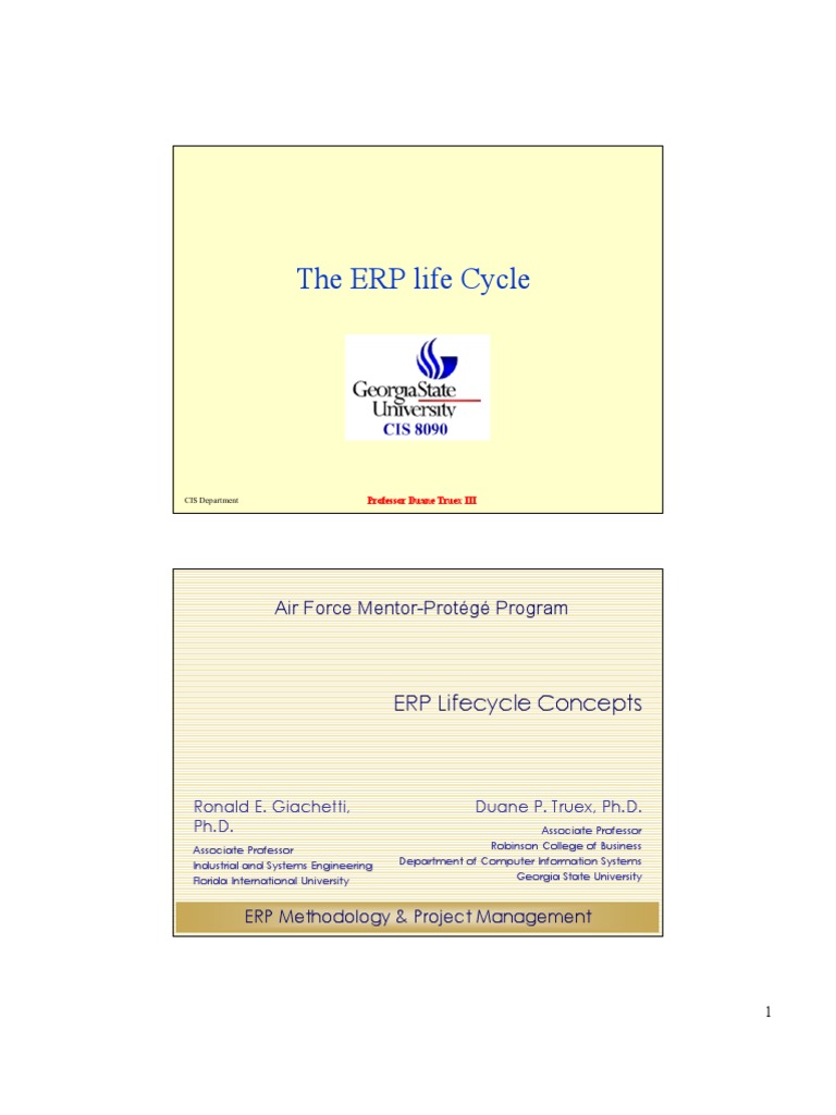 The ERP Life Cycle | PDF | Enterprise Resource Planning | Business Process