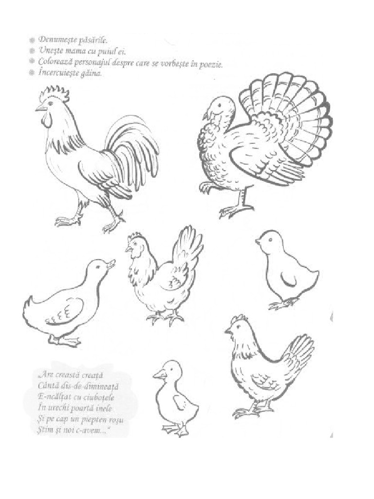 Fise Animale Domestice | PDF