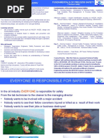 What Is Safe Operating Limits PDF | PDF | Temperature | Safety