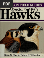 UK Gull Identification Guide | PDF | Gull | Birds