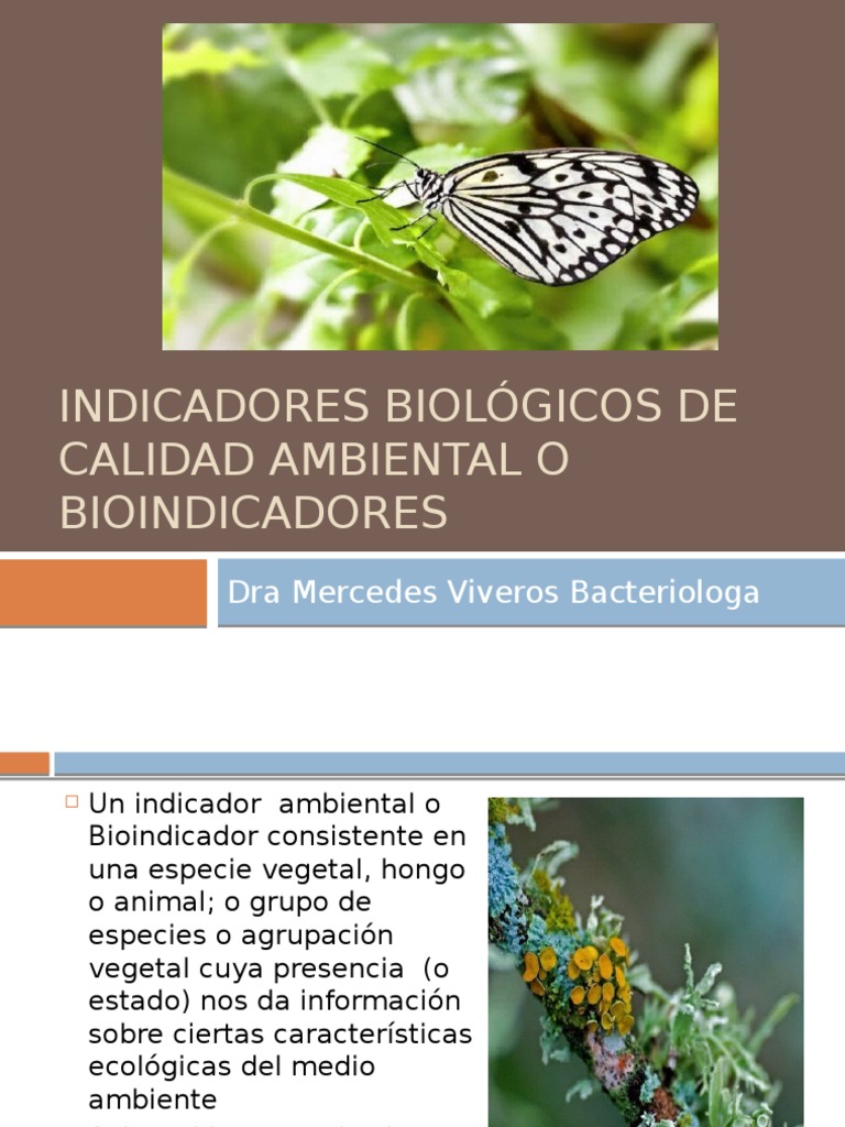 Indicadores Biológicos de Calidad Ambiental o Bioindicadores | Ciencias ...