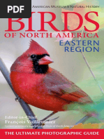 CLASS 3 SCIENCE CHAPTER 3 BIRDS Mrs. Geetarani Das | PDF | Birds | Feather