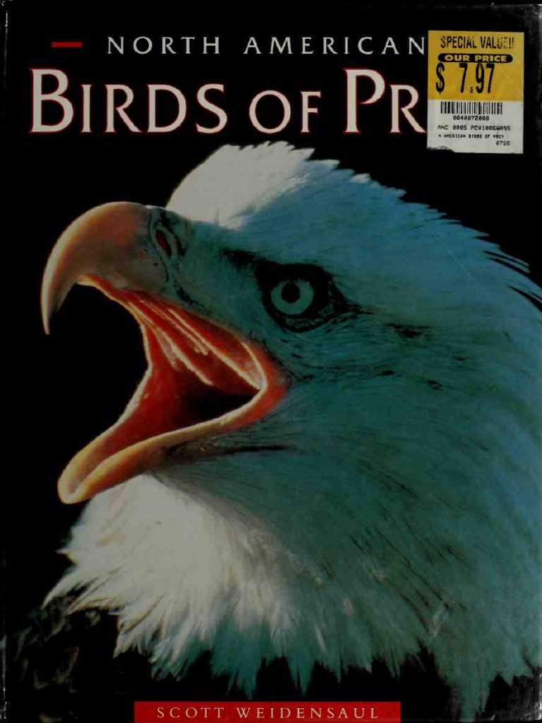 North American Birds of Prey | PDF | Bald Eagle | Owl