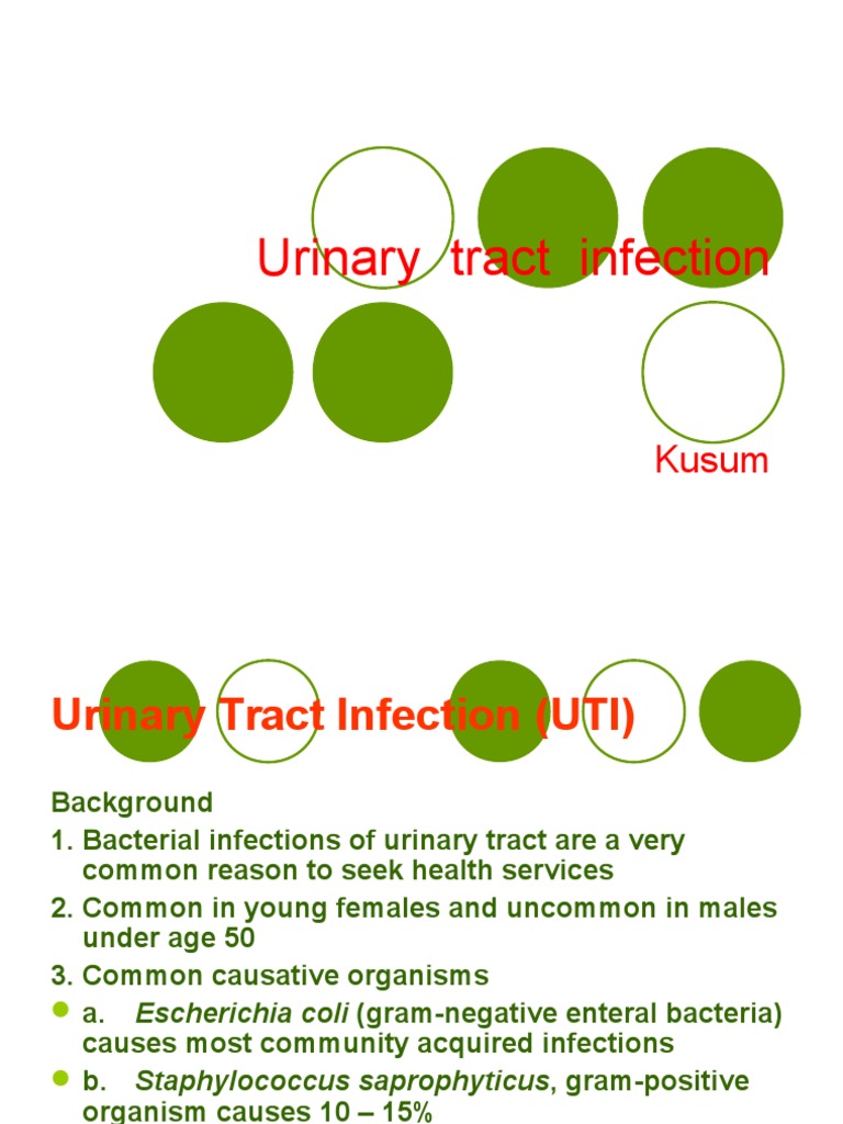 Uti | PDF | Urinary Tract Infection | Urinary System