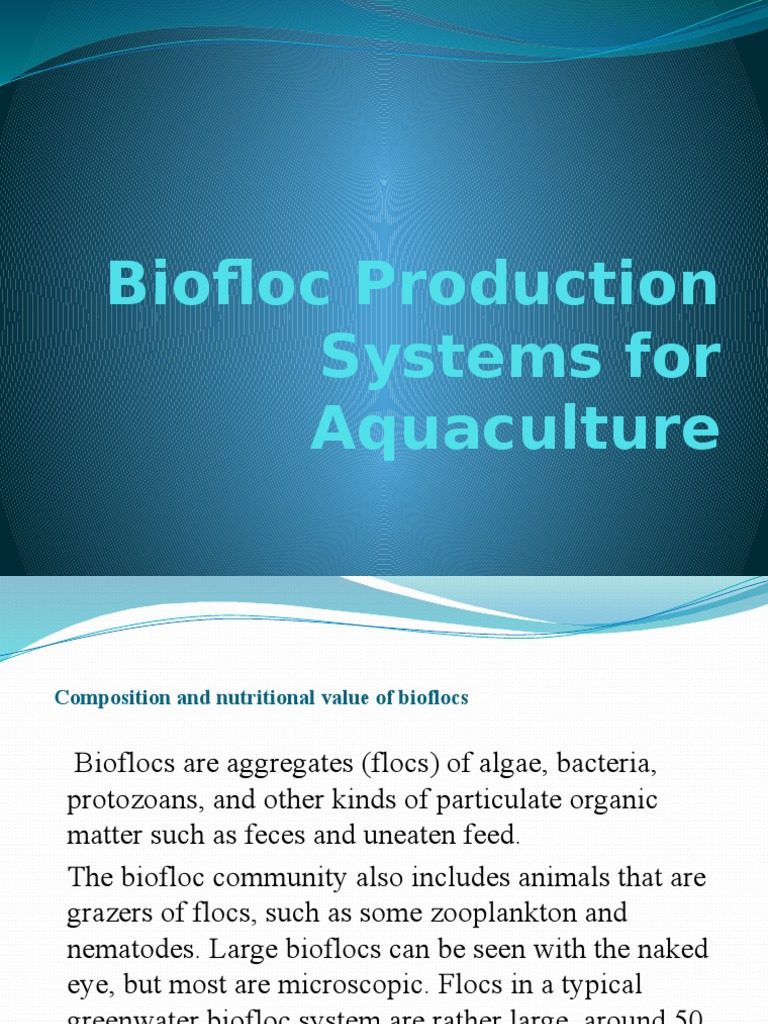 Presentation1 Biofloc | PDF | Water | Aquaculture