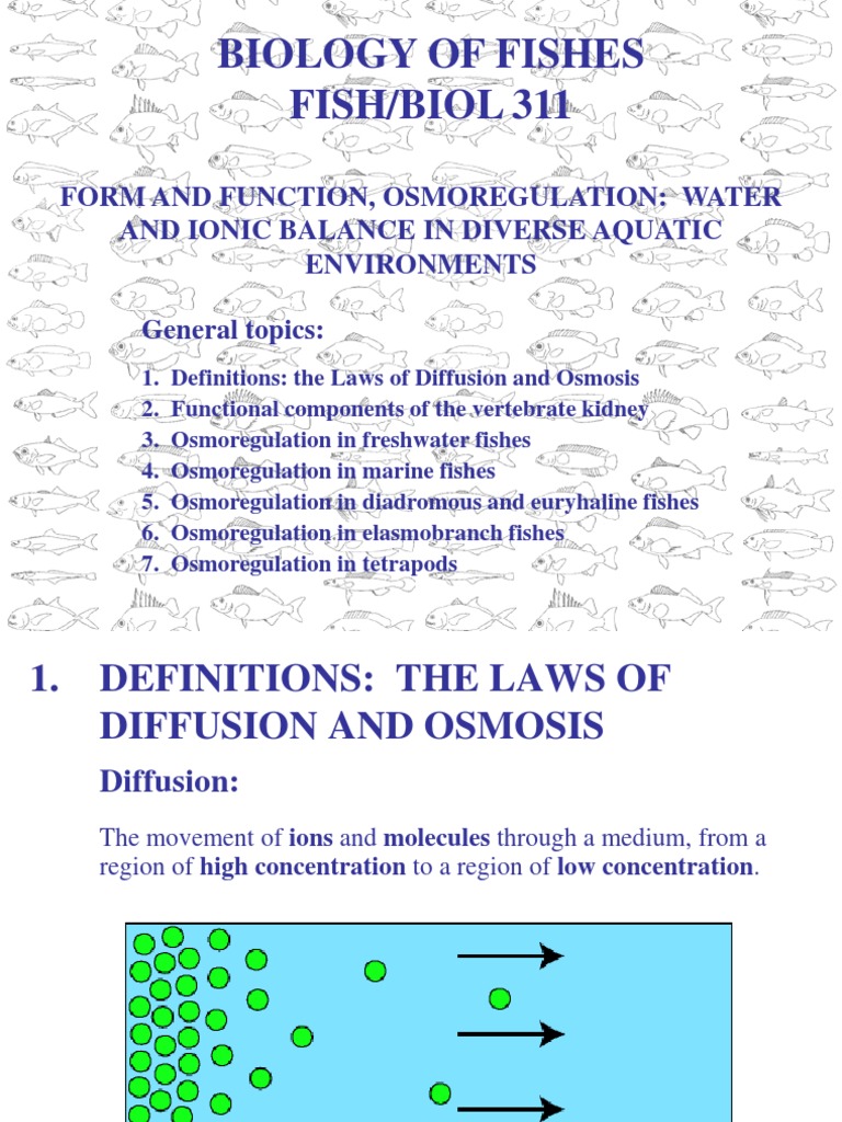 014-Osmoregulation (1) Biology of Fishes | PDF | Kidney | Science