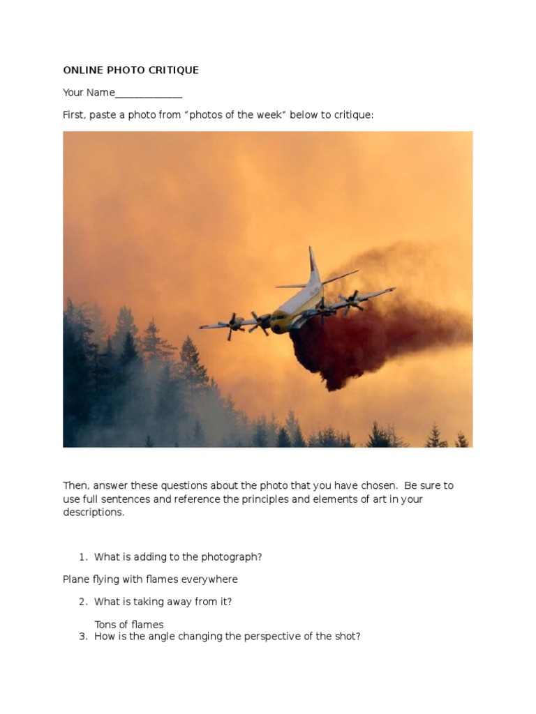 Online Photo Critique | PDF