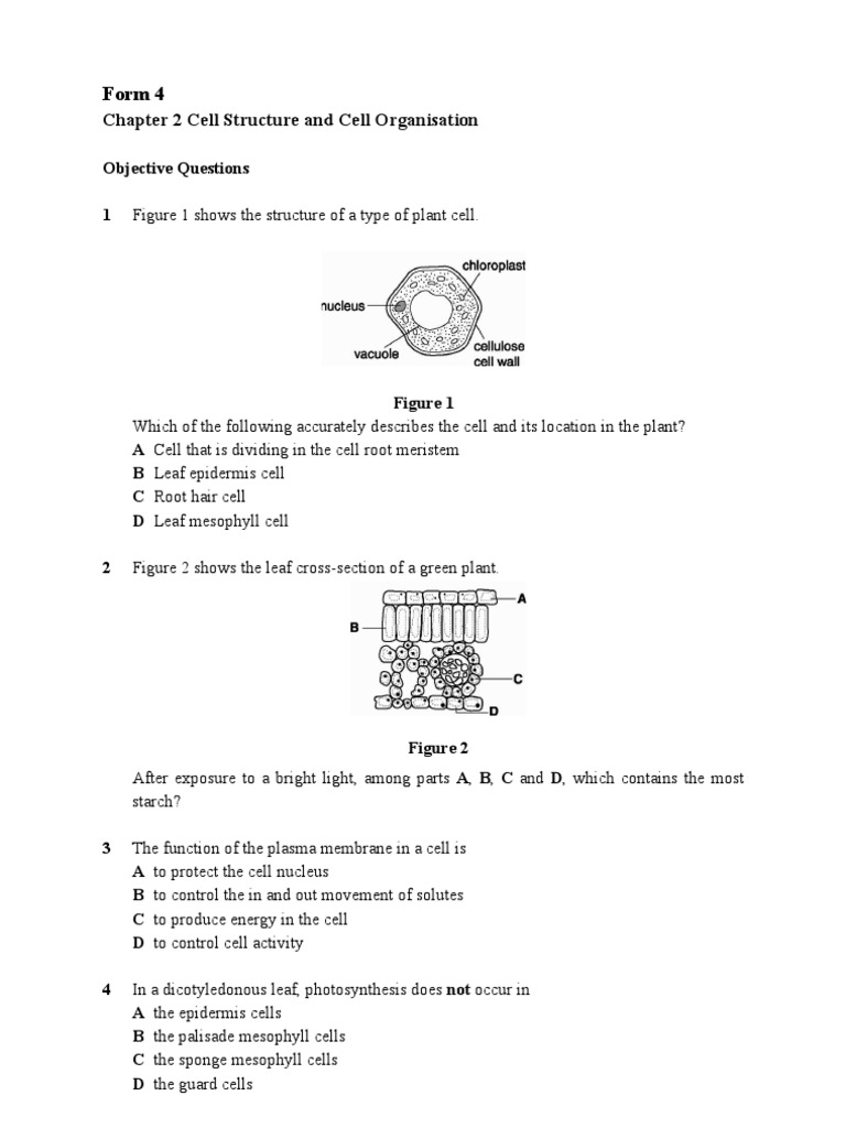 Biology Form 4 Chapter 2 | PDF | Vacuole | Cell (Biology)
