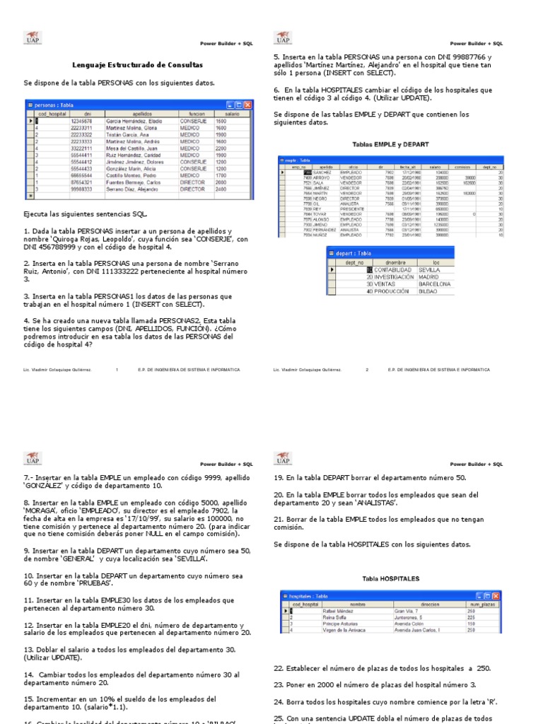 Consultas de Accion-Ejercicios | PDF | SQL | Informática