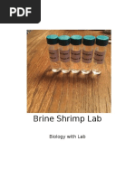 Brine Shrimp Lab Report | PDF | Experiment | Nature