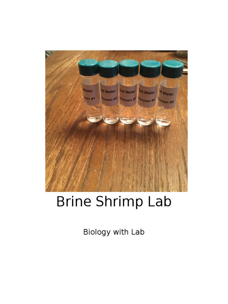Brine Shrimp Lab | PDF | Natural Environment | Conservation