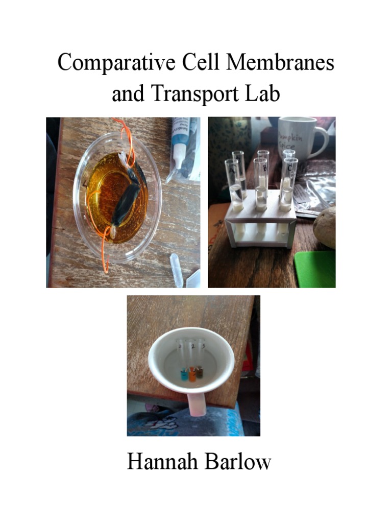 Comparative Cell Membranes and Transport Lab Report | PDF | Cell ...