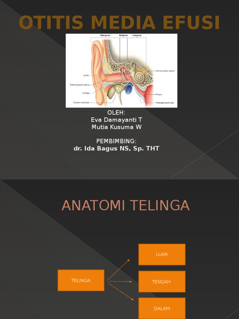 Otitis Media Efusi | PDF
