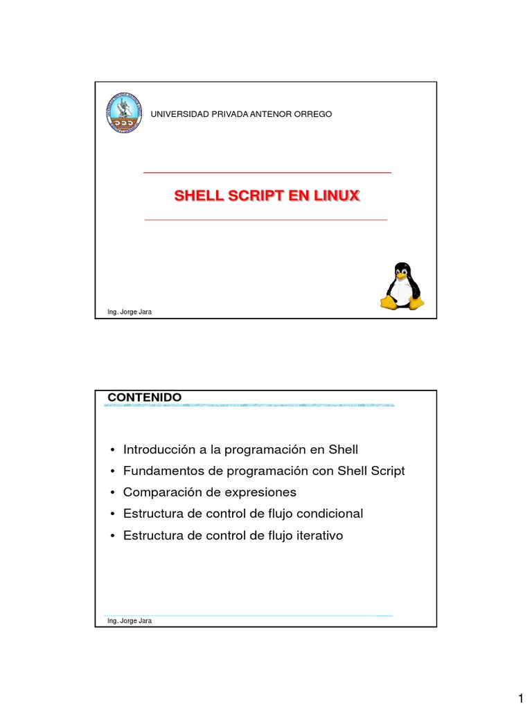 Manual de Shell Script | PDF | Interfaz de línea de comando | Comillas