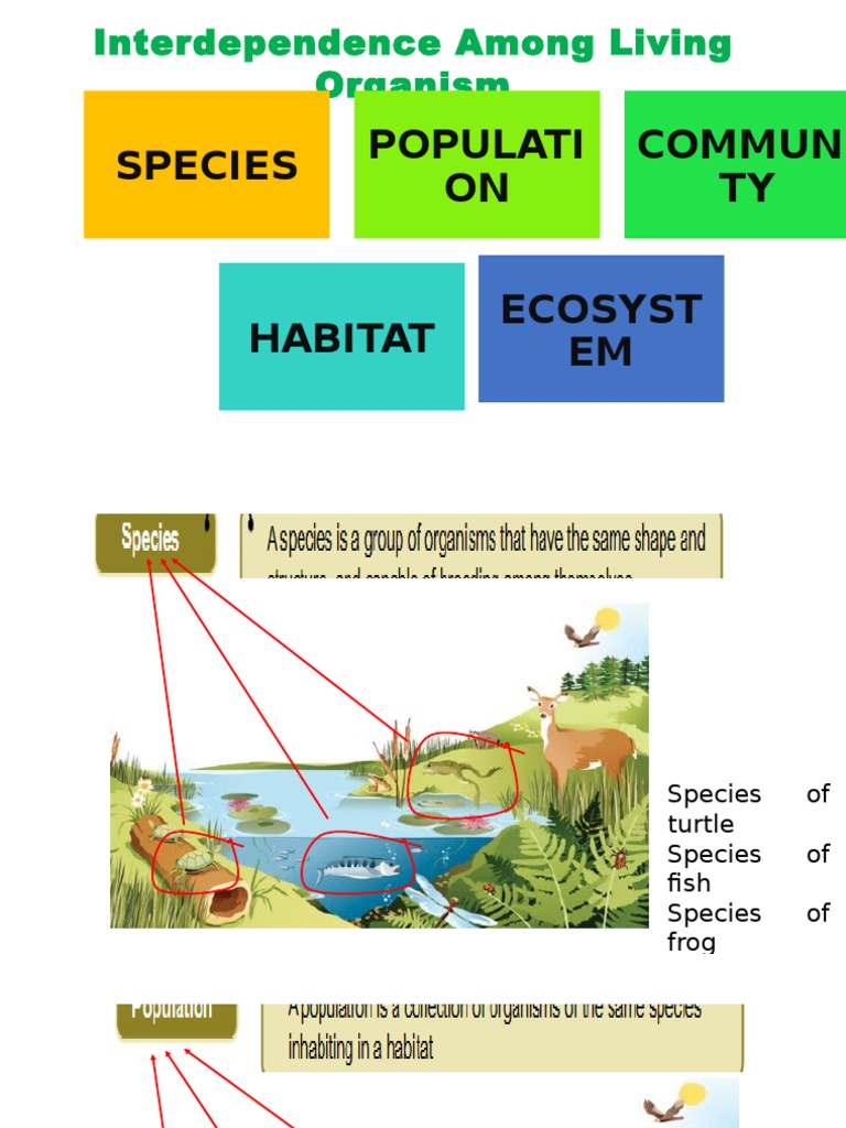 Interdependence Among Living Organism | Predation | Parasitism