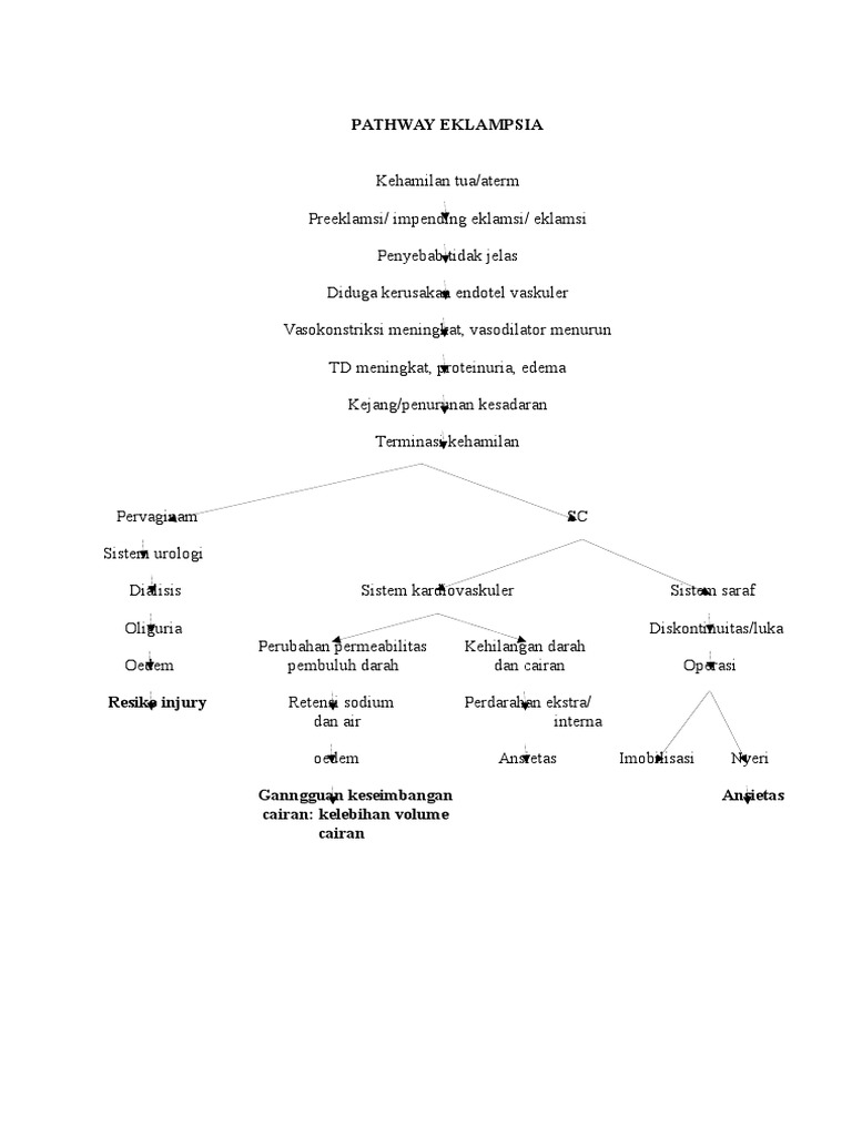 Pathway Eklampsia | PDF