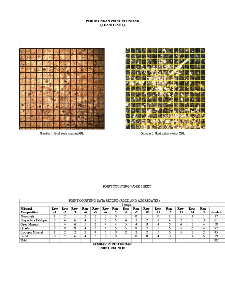 Point Counting Petrografi | PDF