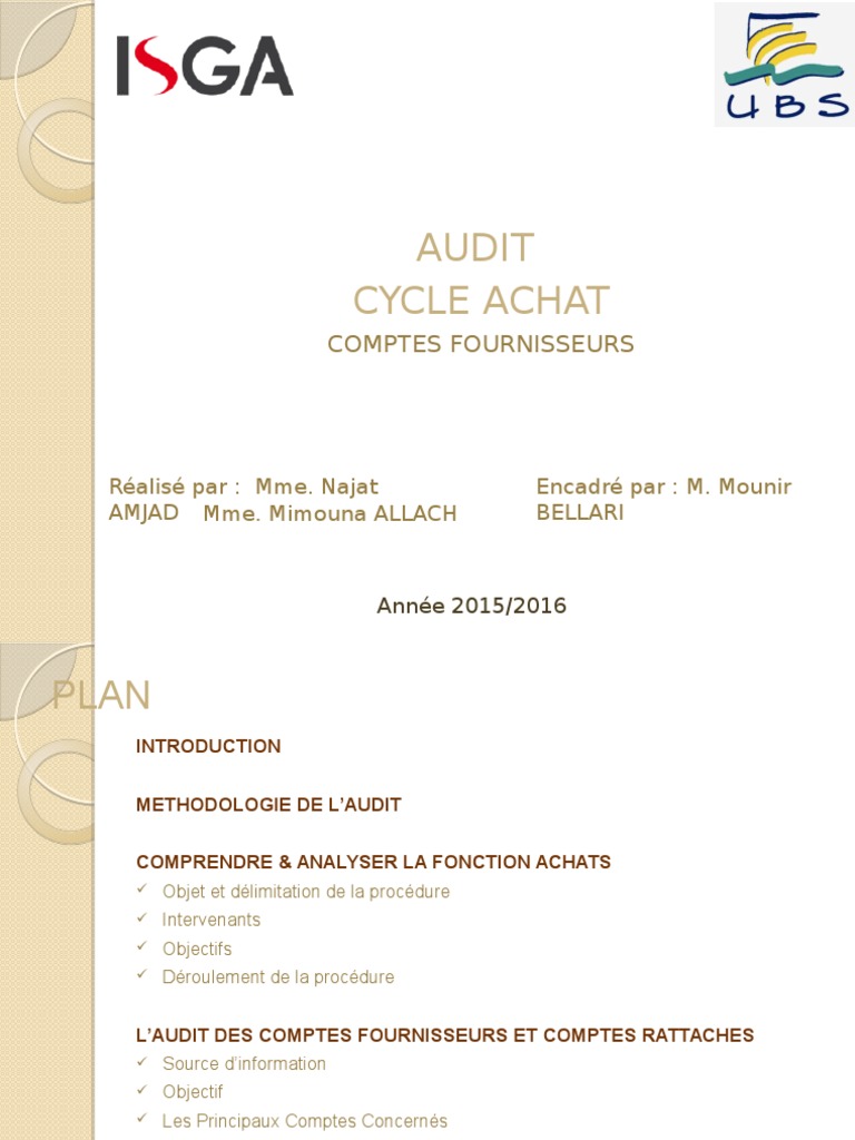 Audit des Achats et Fournisseurs | PDF | Facture | Audit