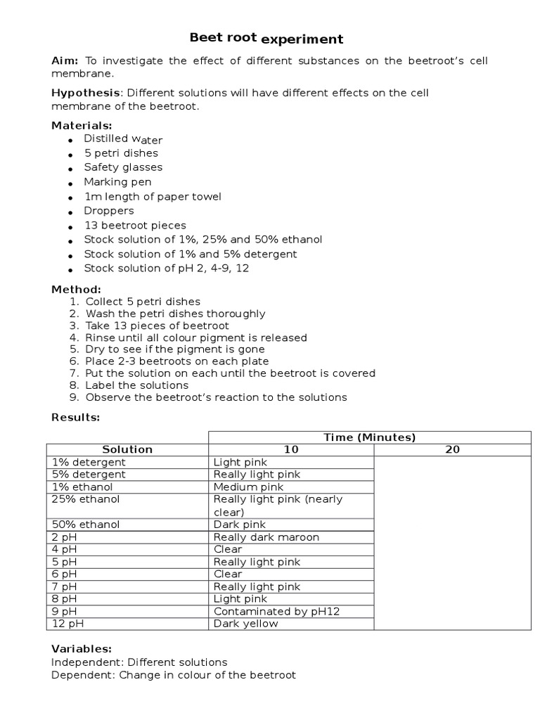 Beet Root Experiment | PDF | Beetroot | Experiment